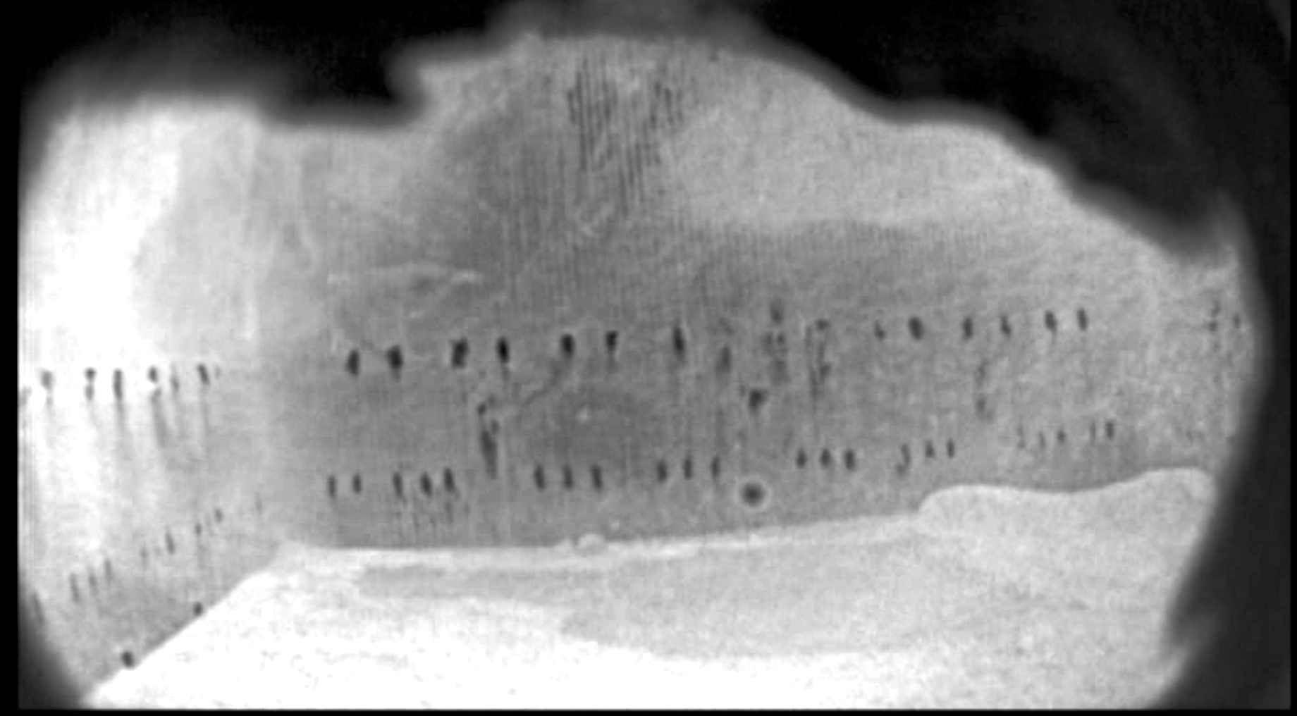 Recovery Boiler – Bass Electronics – Home of the Industrial Camera